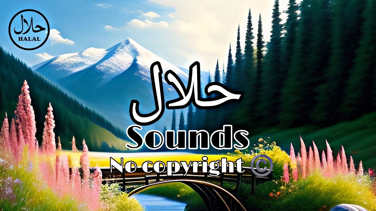 Halal Music Into The Glaxy | No copyright free to use - YouTube