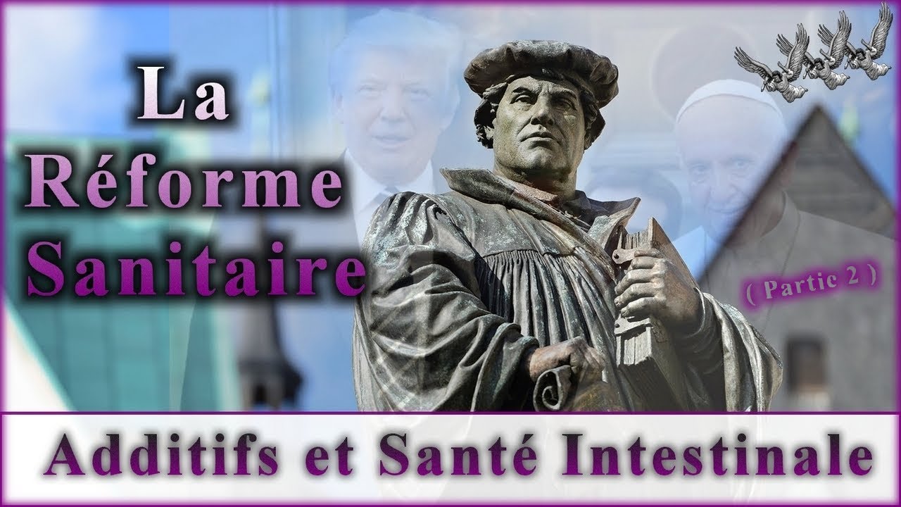 La Réforme Sanitaire// Additifs et Santé Intestinales // Partie 2 - YouTube