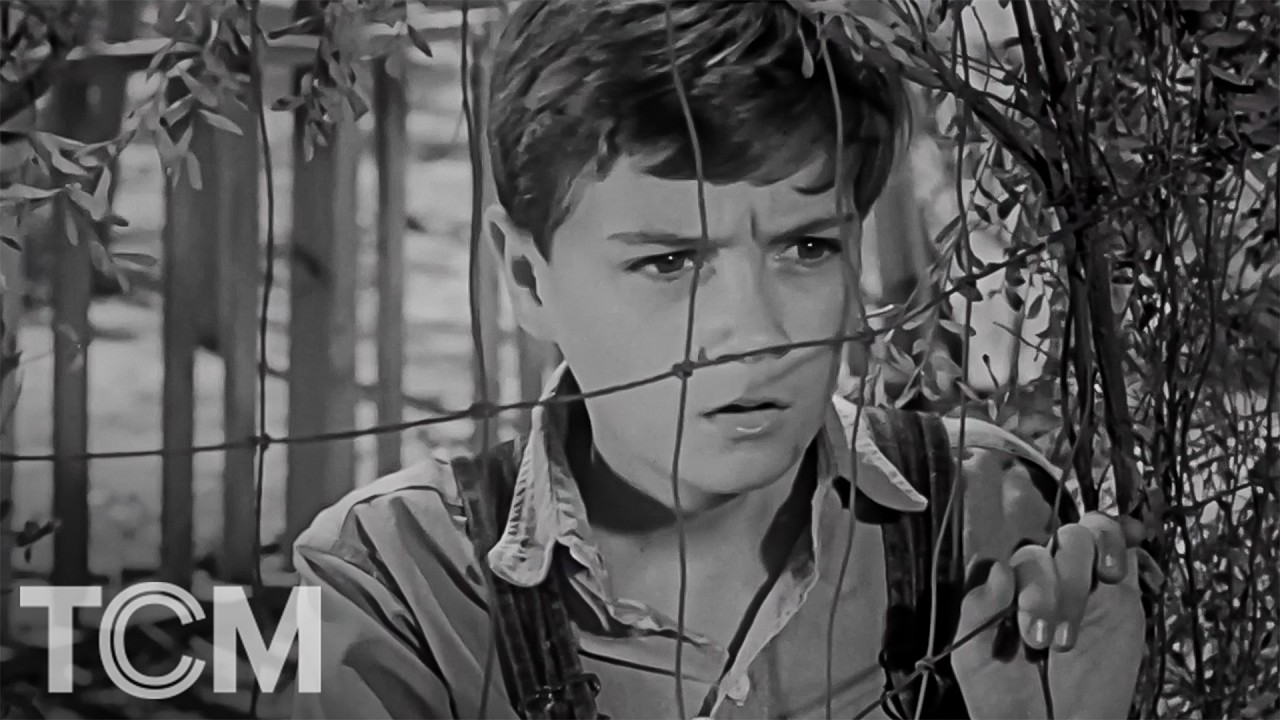 Jem, Scout and Dill Spy on Atticus in Court (Clip) | To Kill a ...