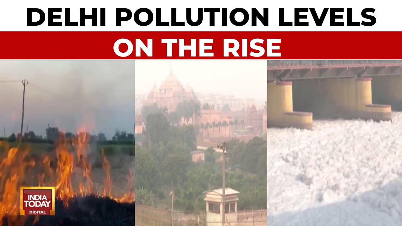 Delhi Pollution Levels On The Rise | Toxic Froth Gathers Over The River ...