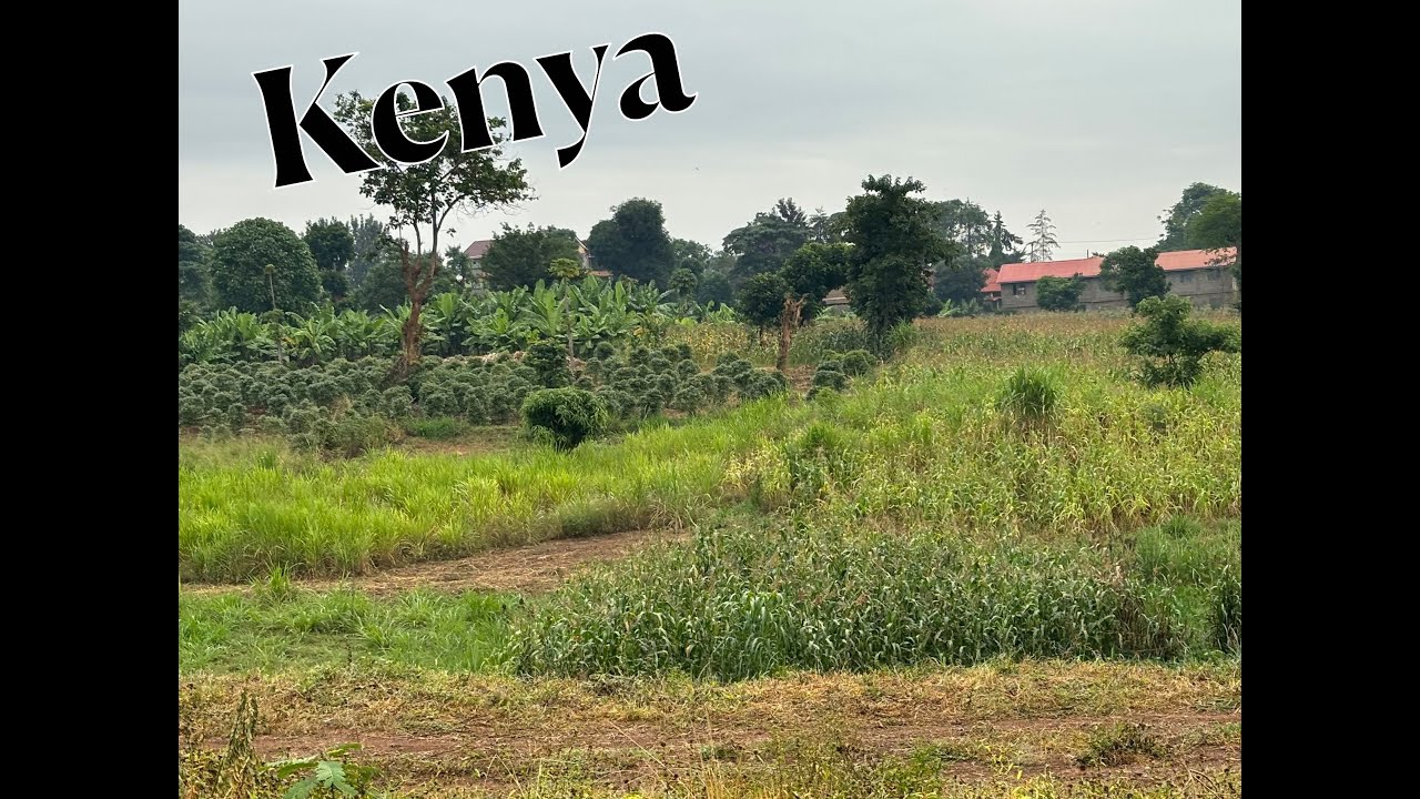 Kenya Review - YouTube