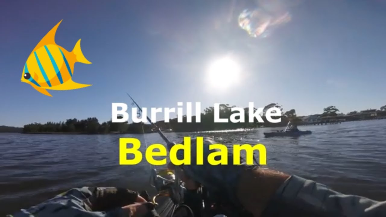 Burrill Lake turns it on - Kayak Fishing with Rod N Paddle - YouTube