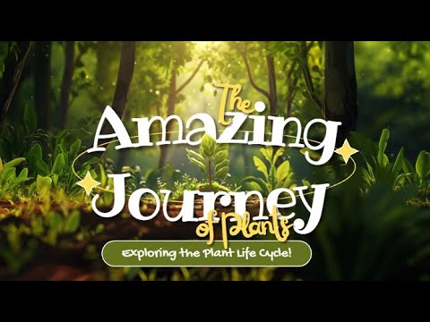 The Amazing Journey of Plants Exploring the Plant Life Cycle! - YouTube