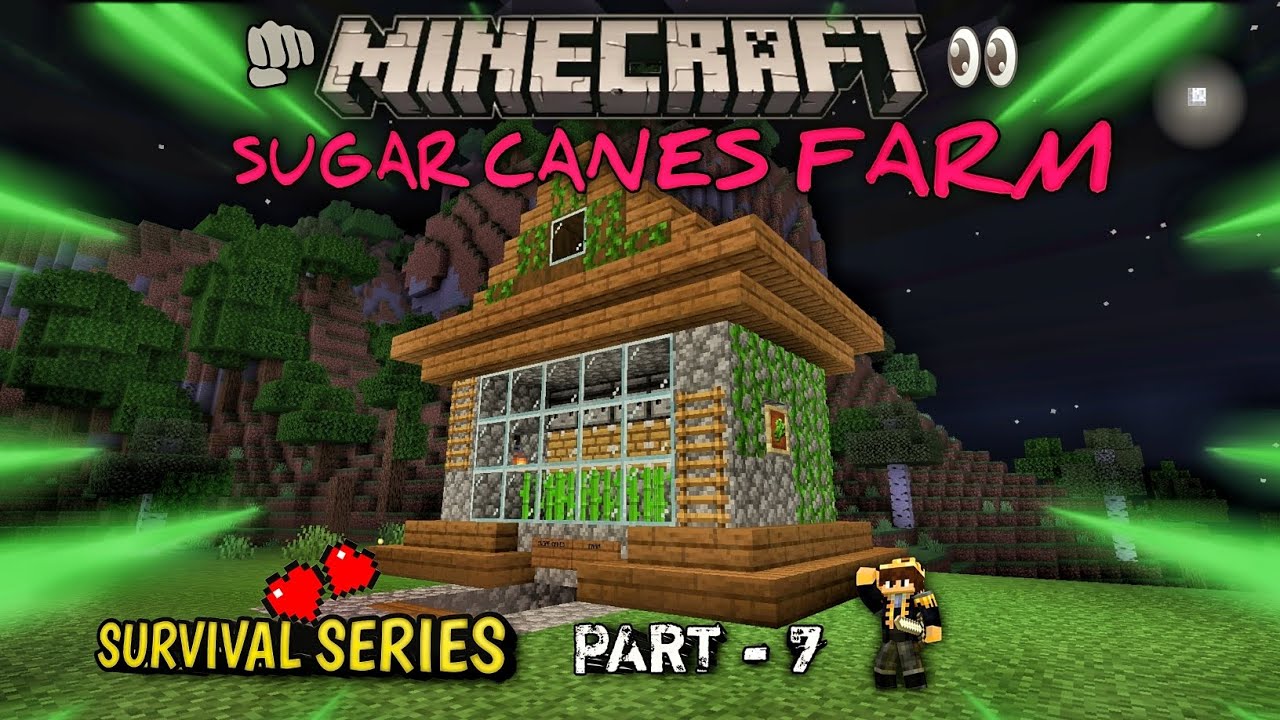 I MADE A BEAUTIFUL SUGAR CANES FARM 😍 | In my Survival World Minecraft ...