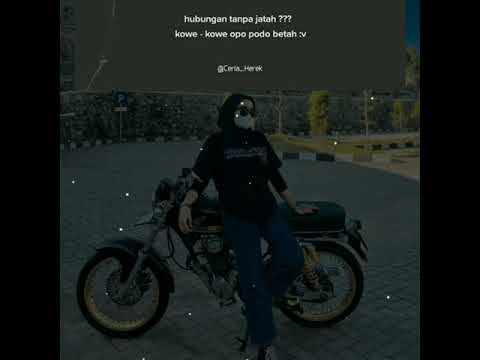 story' wa cb gl mp &Tiger terbaru ngak nonton rugi !!