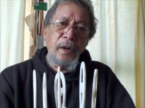 Wai 262 Hori Parata 1.wmv - YouTube