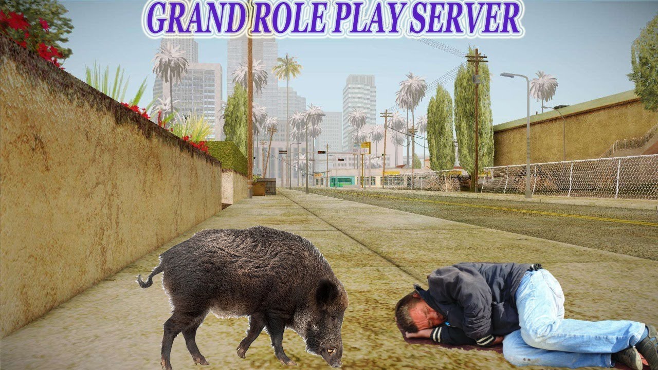 GTA5 GRAND ROLE PLAY SERVER 16+ Մուրացկանը և վայրի խոզը - YouTube