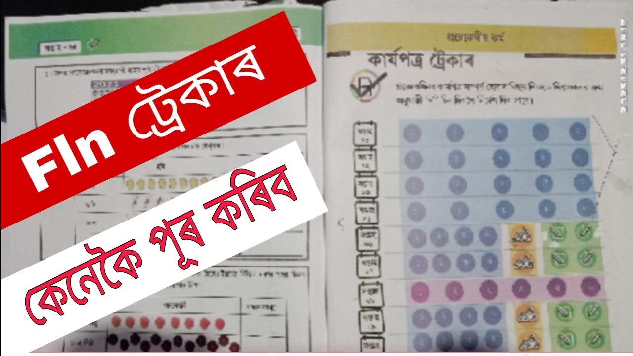 fln tracker|| how to fill weekly assessment fln tracker || fln weekly ...
