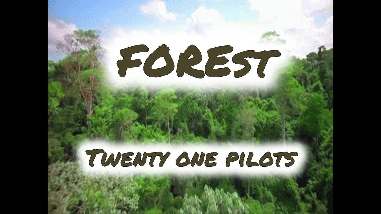 Forest .... twenty one pilots .... (lyrics video) - YouTube