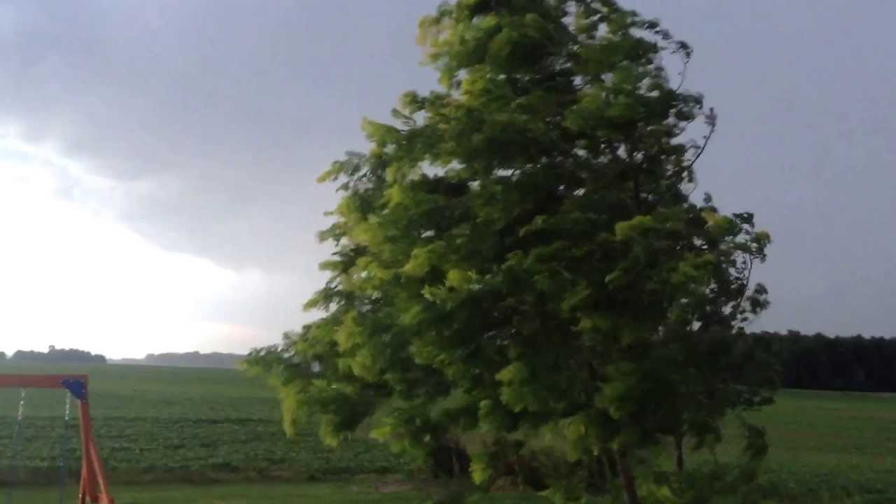 Storm blowing the trees - YouTube