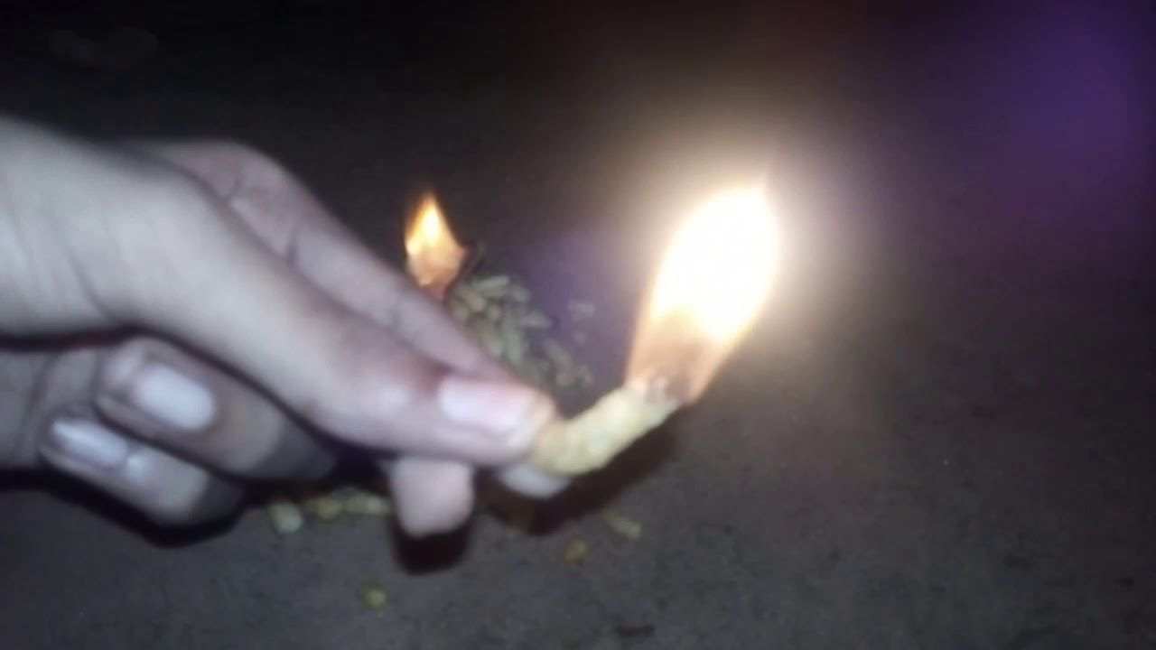 Ok biryani super taste but when burn it you can see the plastics in ...