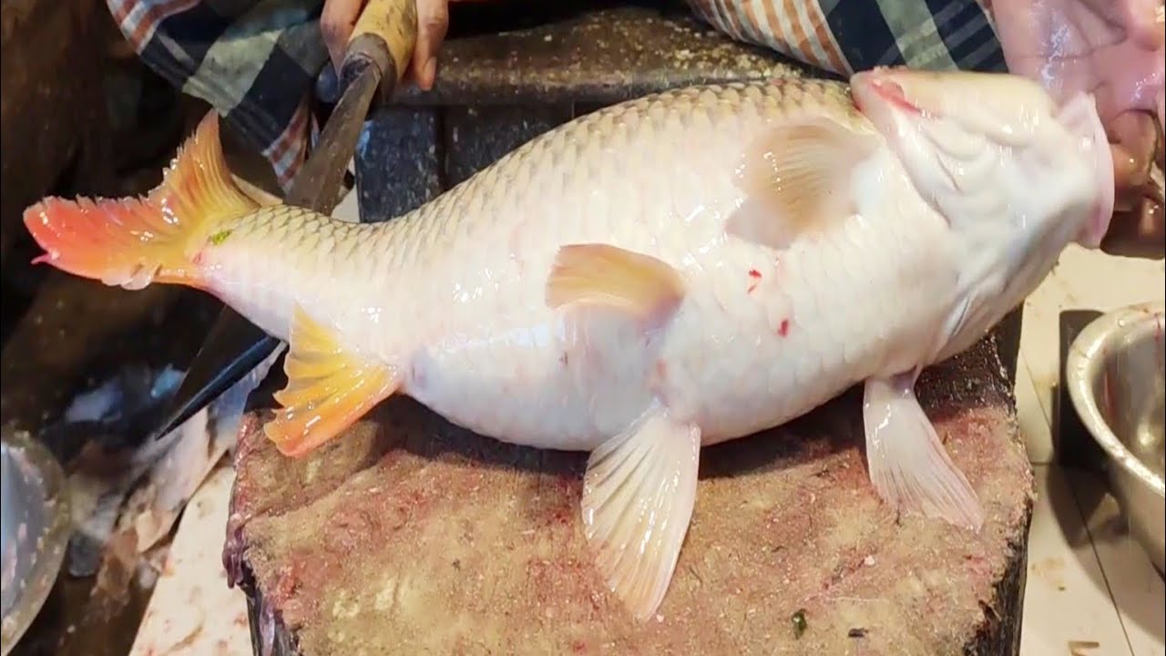 Amazing Cutting Skills || Big Carp Fish Cleaning & Cutting By Expert ...