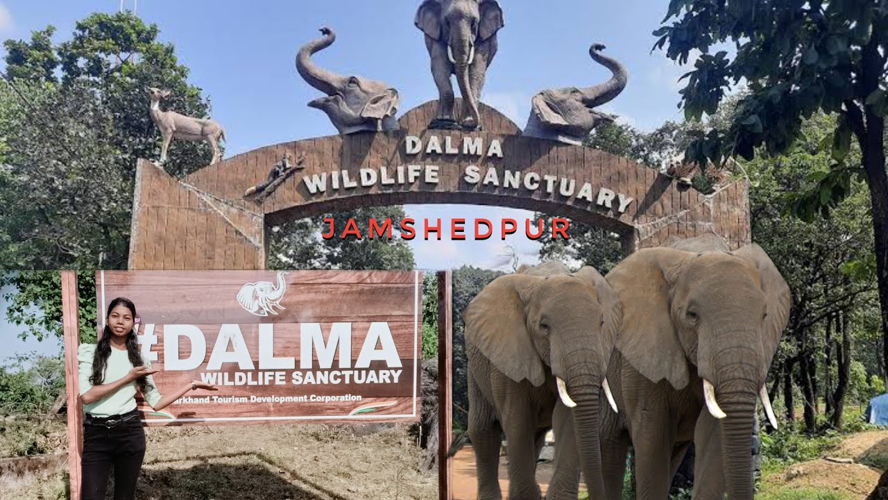 Dalma wildlife sanctuary || viewpoint ||jamshedpur || jharkhand. - YouTube