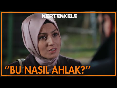 Bu nasıl ahlak? - Kertenkele
