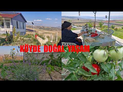 KÖYDE DOĞAL YAŞAM HATİCE HANIMLA GÜNLÜK RUTİN İŞLERİMİZ BAHÇE KAHVALTI HAIZRLIĞIMIZ