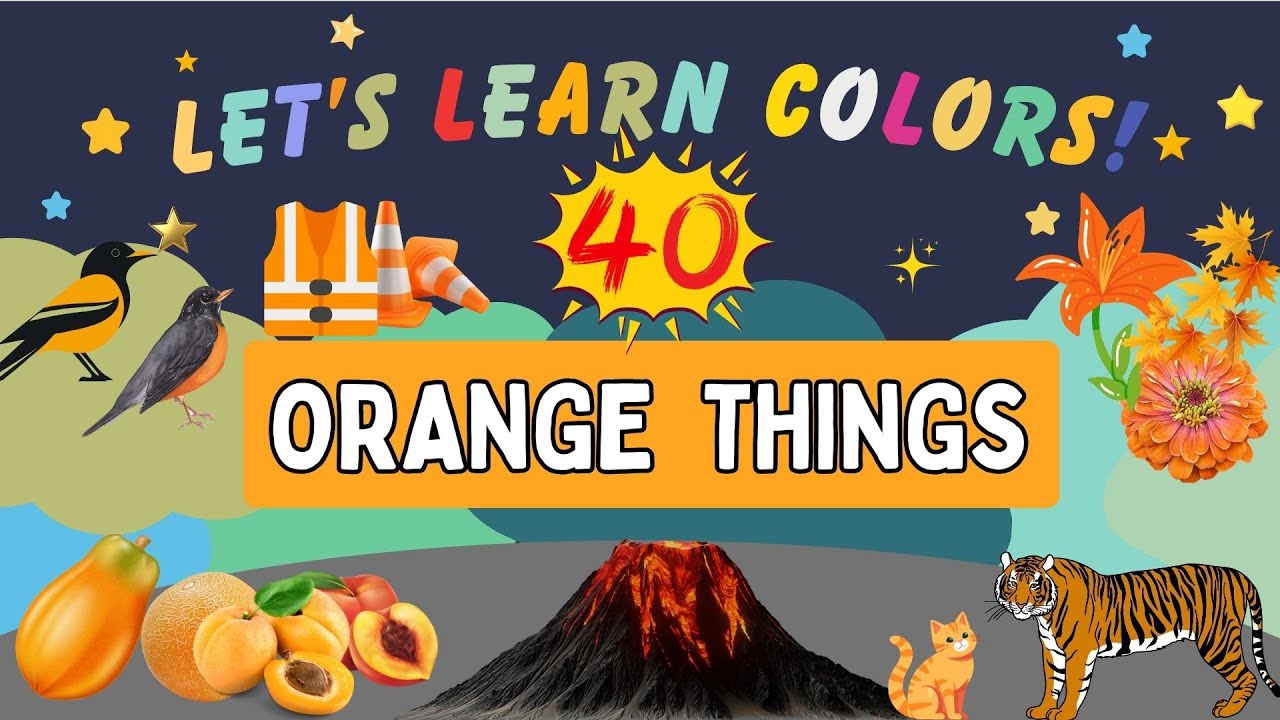 Discover 40 AMAZING Orange Things That Will Blow Your Mind! - YouTube