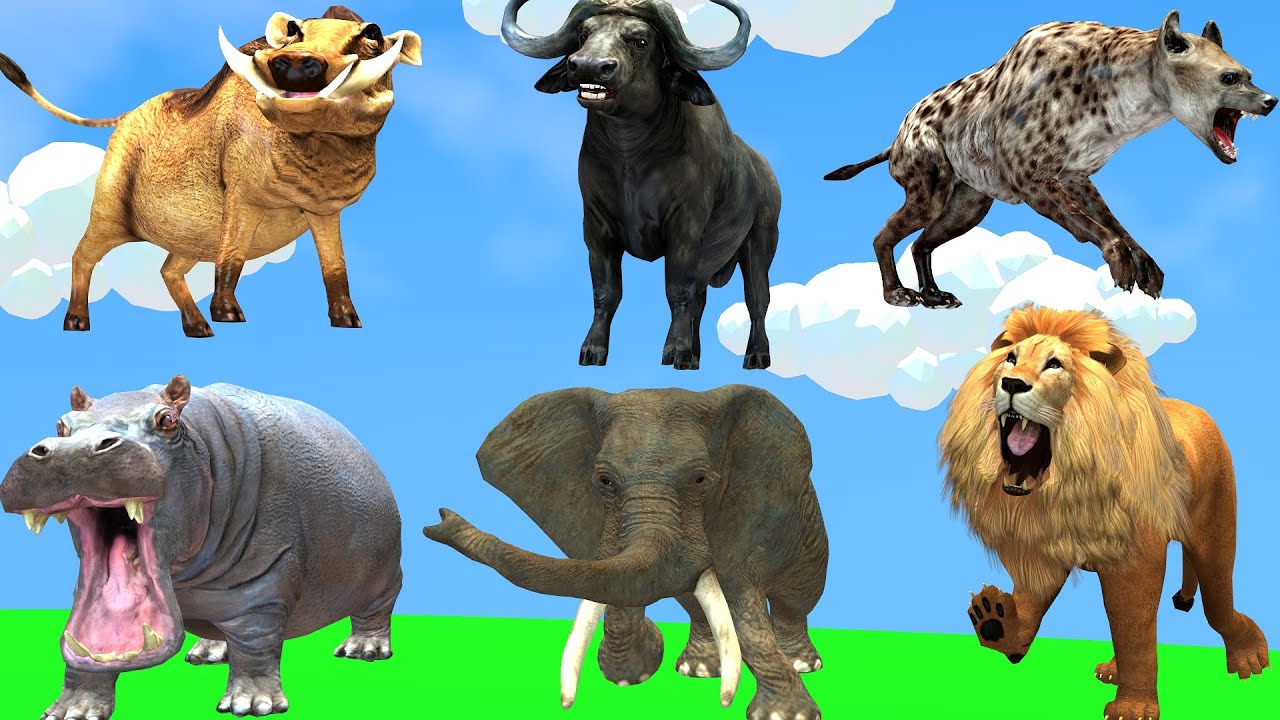 Elephant Cow vs Lion Buffalo Cartoon - YouTube