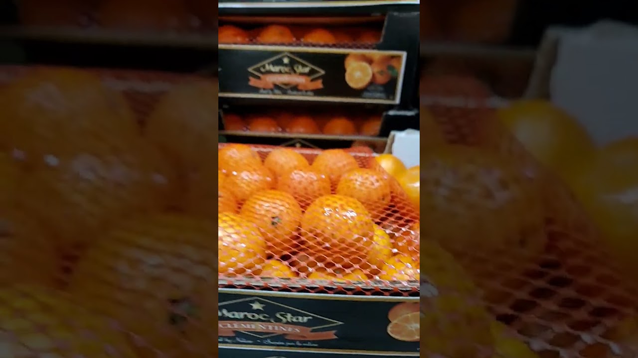 CLÉMENTINES DU MAROC - YouTube