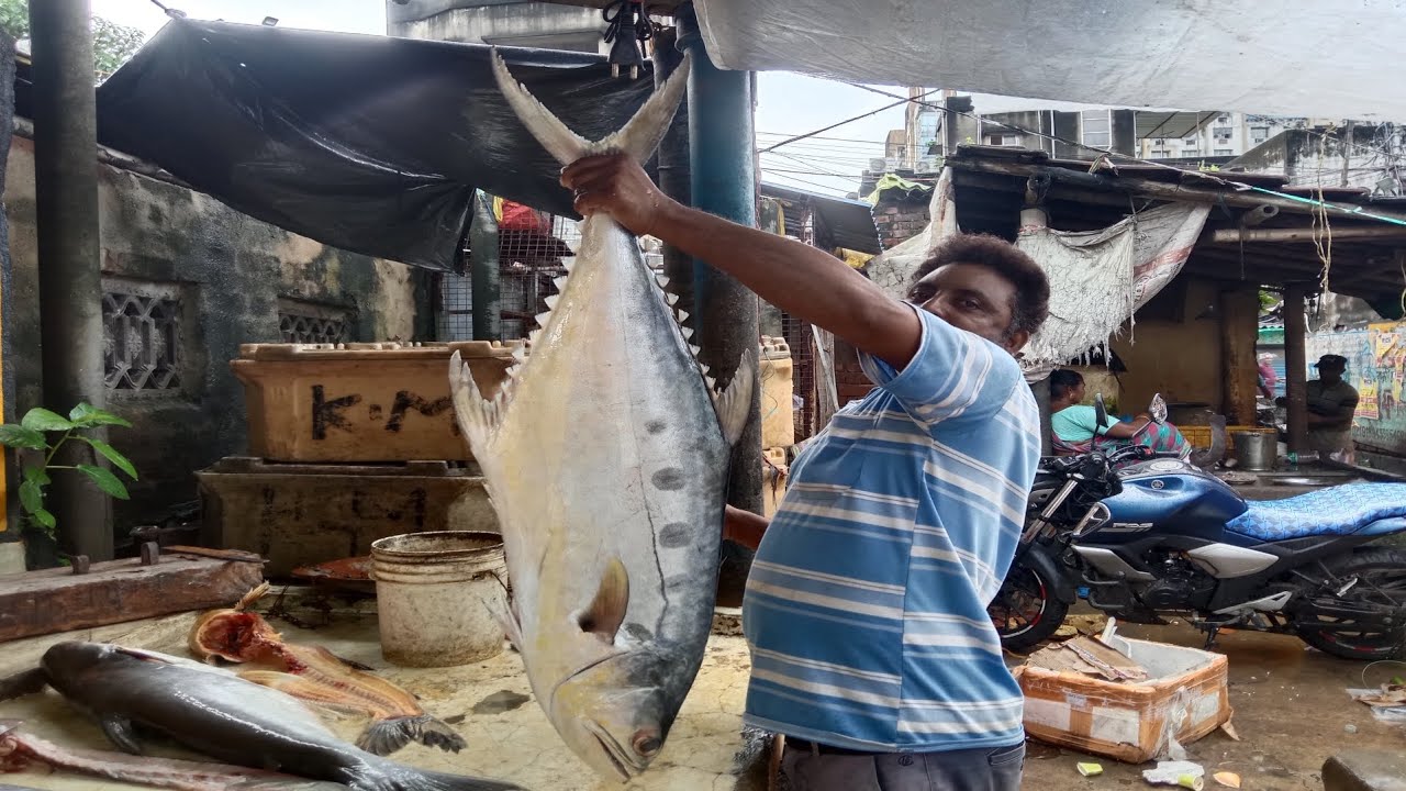 Para fish cutting |Para fish cutting skills|Para fish cutting Kolkata ...