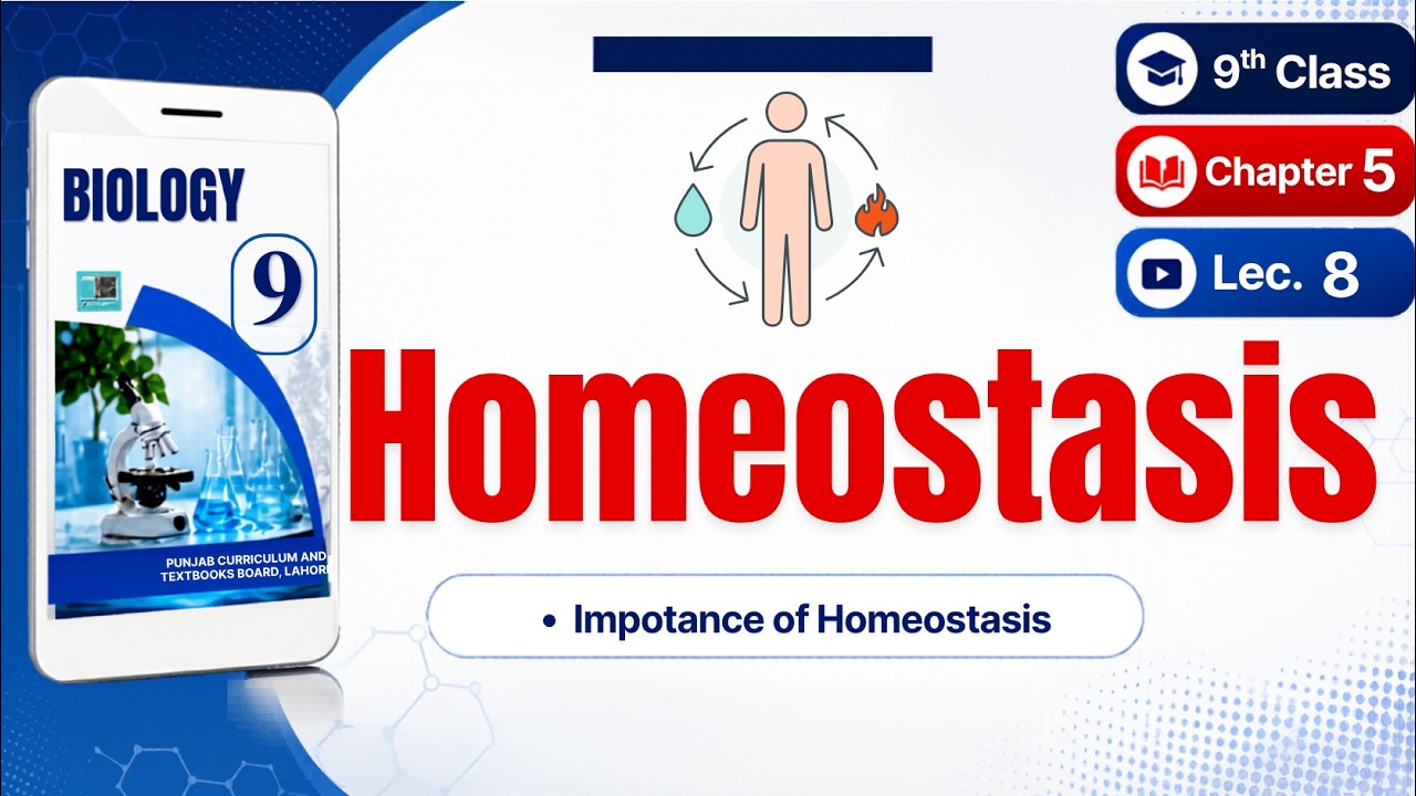 Homeostasis | Importance of Homeostasis | Role of Organ Systems 9th ...