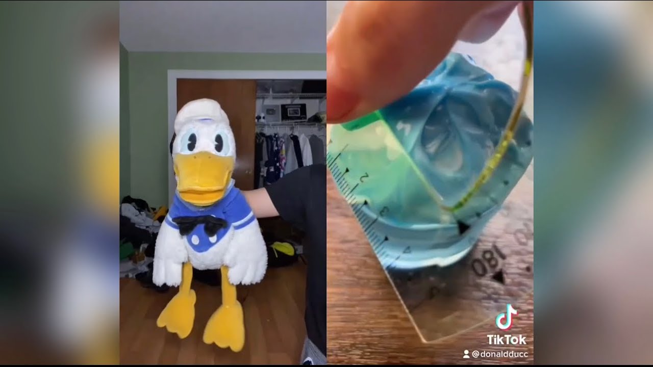 Donald Ducc Reacts To Satisfying TikToks 10 (TRY NOT TO LAUGH OR SMILE ...