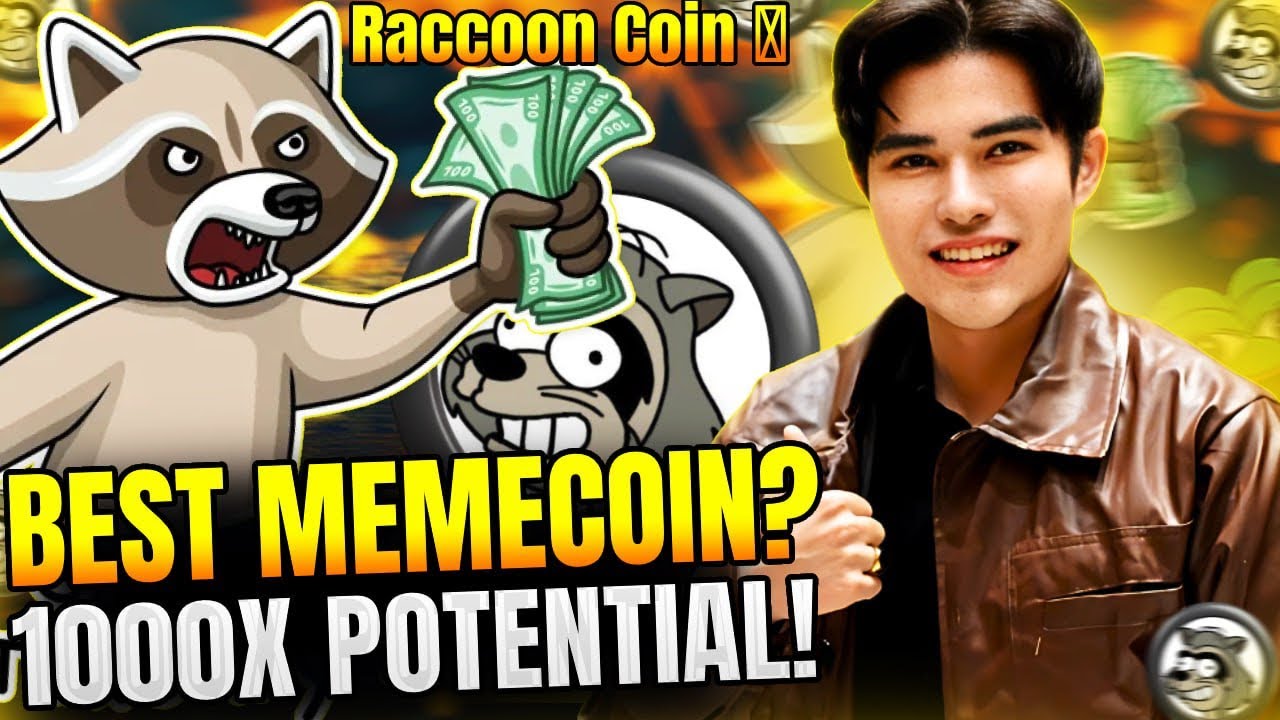RACCOON COIN X1000 POTENTIAL? Meme Coin - YouTube