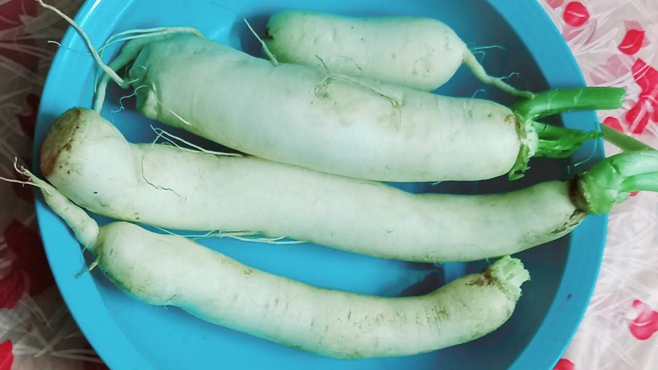 Benefits of Muli(Radish)and muli saag - YouTube