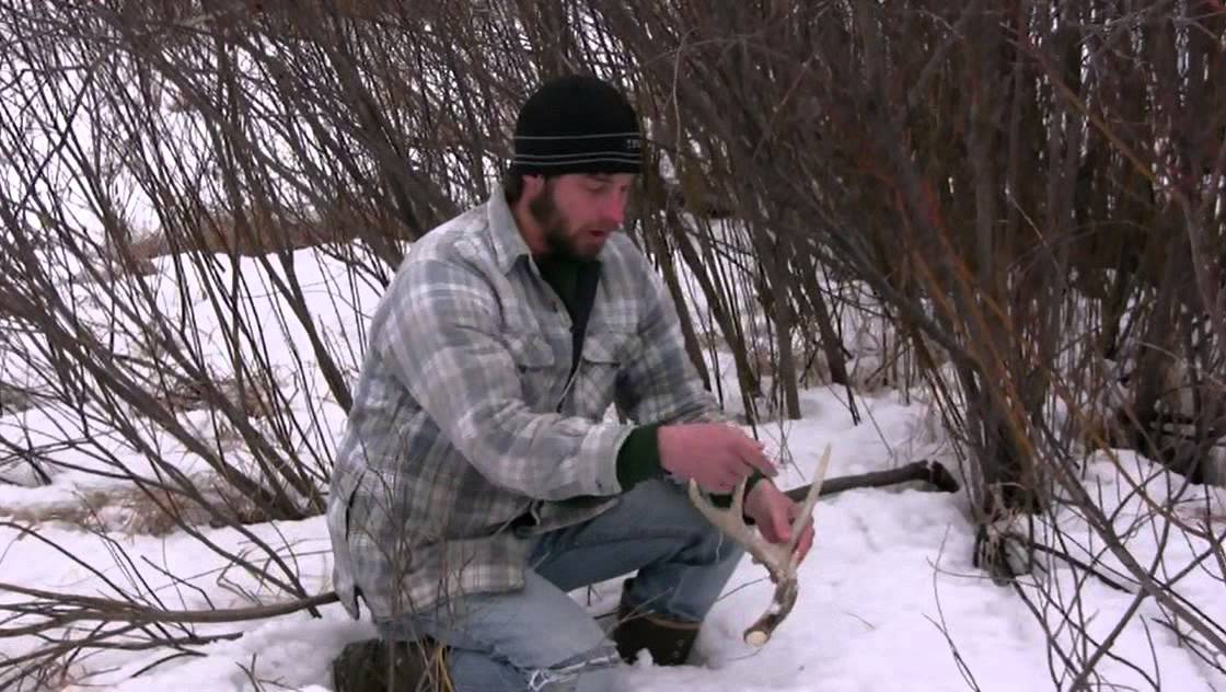 Find Deer Sheds Behind the Mall | Joe Shead Shed Hunting Video - YouTube