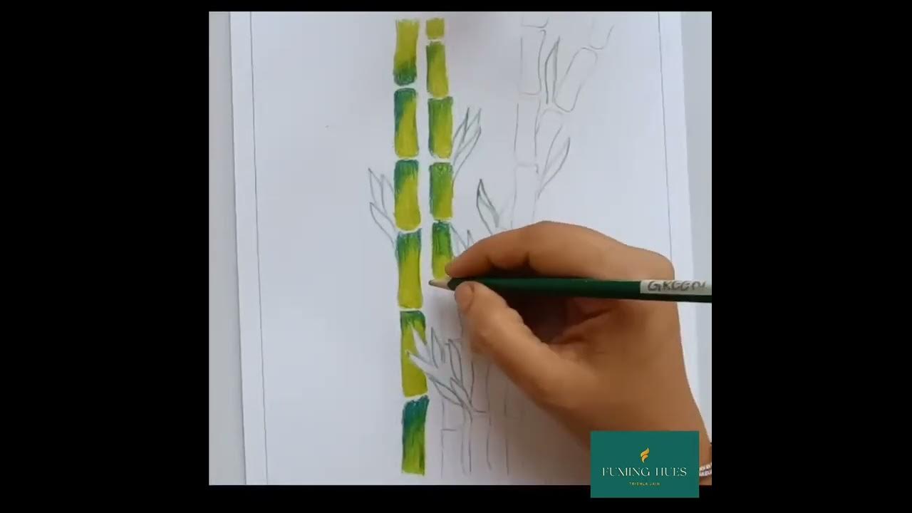 draw bamboo tree step by step | bamboo drawing step by step easy ...