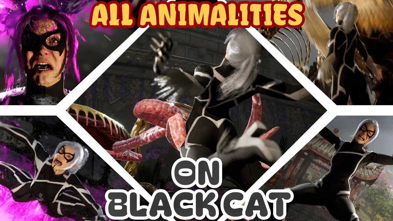 All Animalities Performed on Black Cat Mod - Mortal Kombat 1 - YouTube