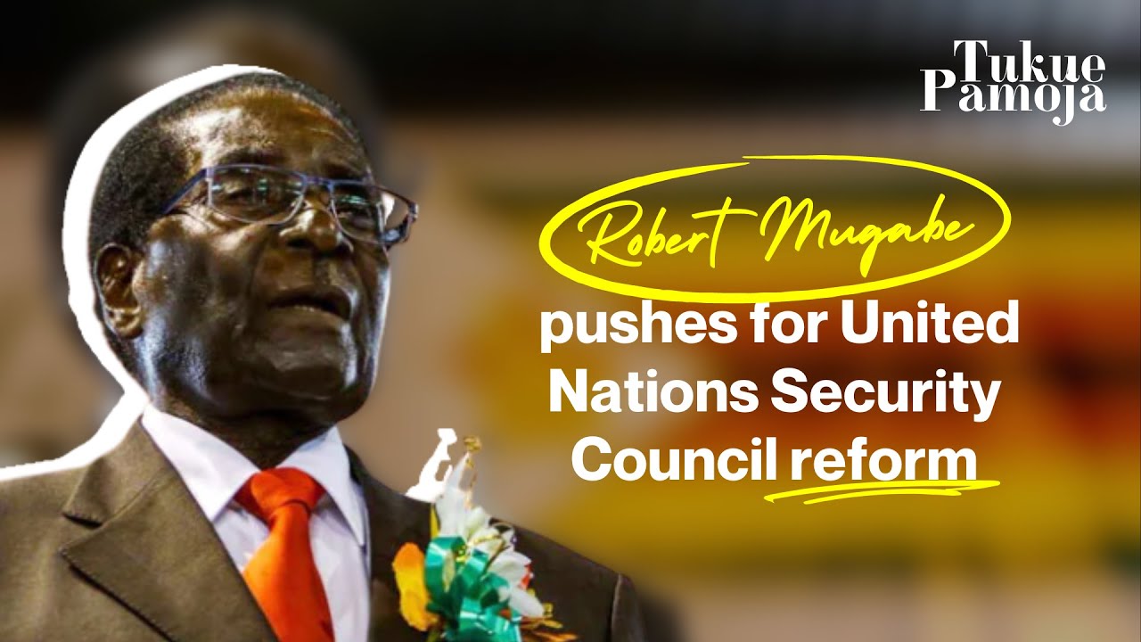 Mugabe's Fight for African Representation in the UN Security Council ...