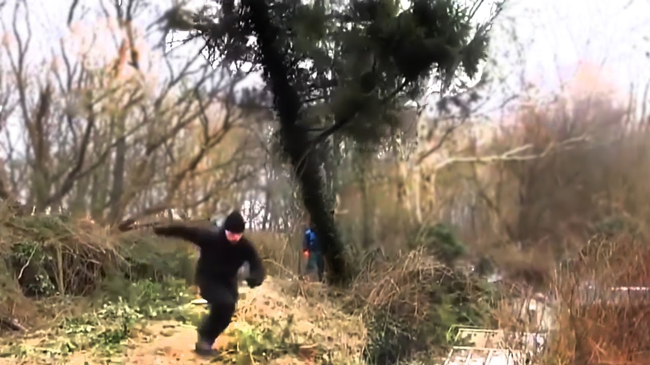 Felling trees failed, neatly with a chainsaw! Danger Skills Tree Fall ...