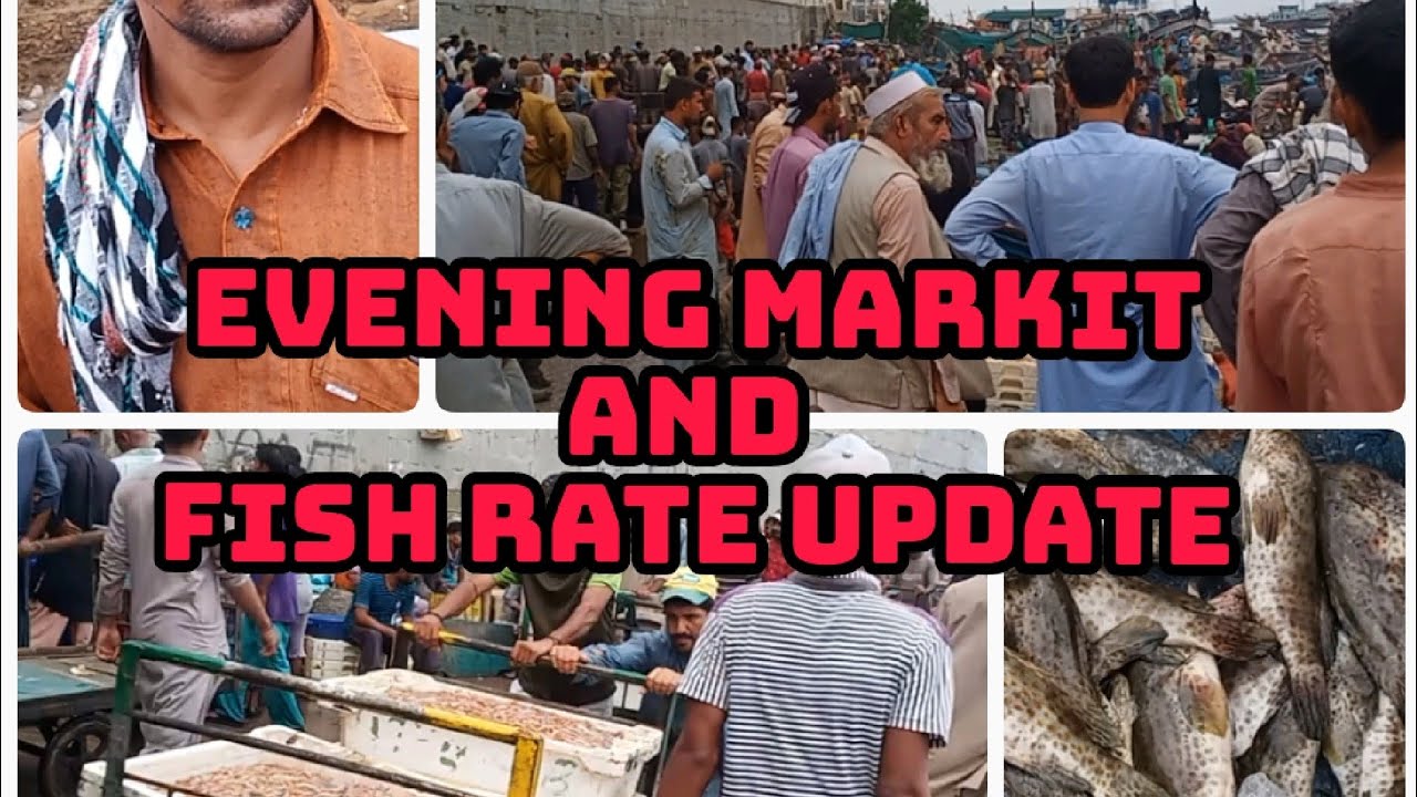 Evening Chera Markit And Fish Rate UpDate #MunirAhmedWorld - YouTube