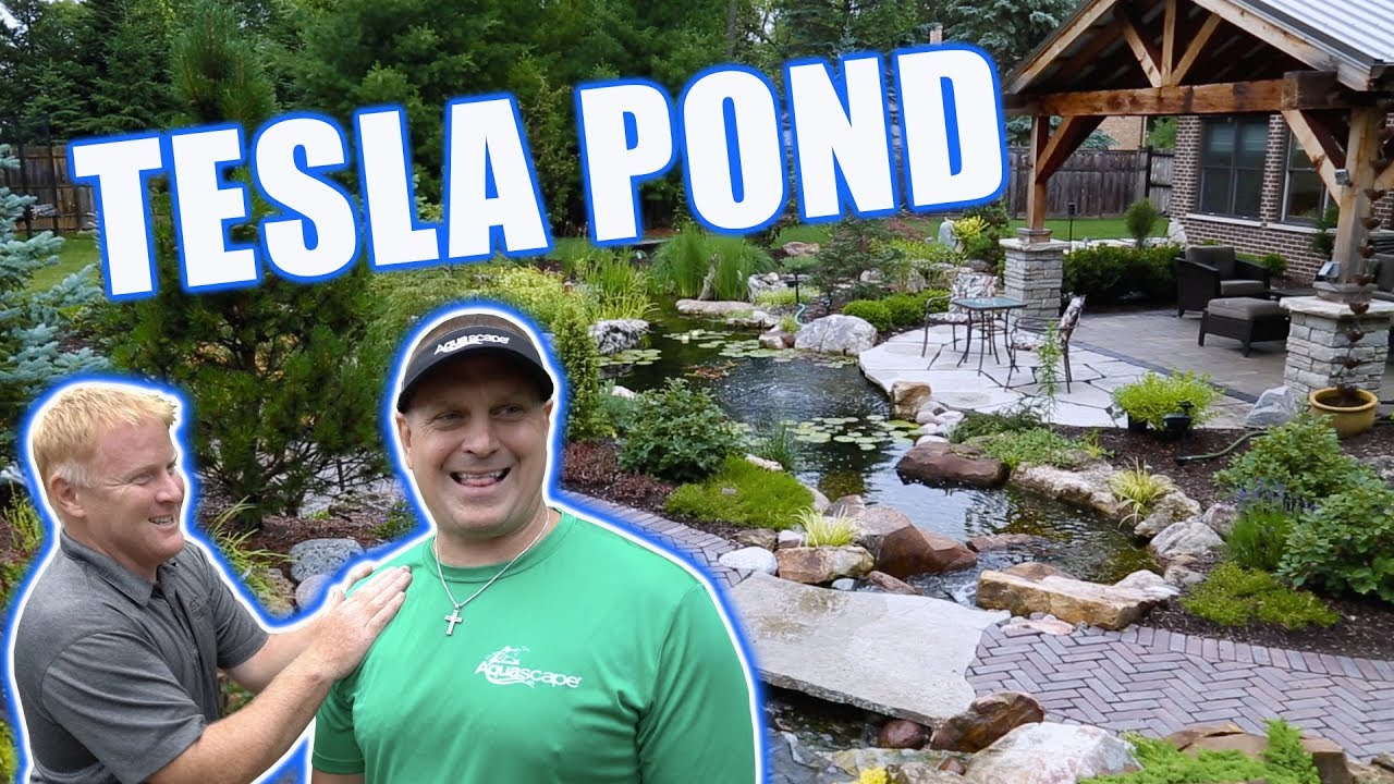 TESLA Backyard Pond and Waterfall - YouTube