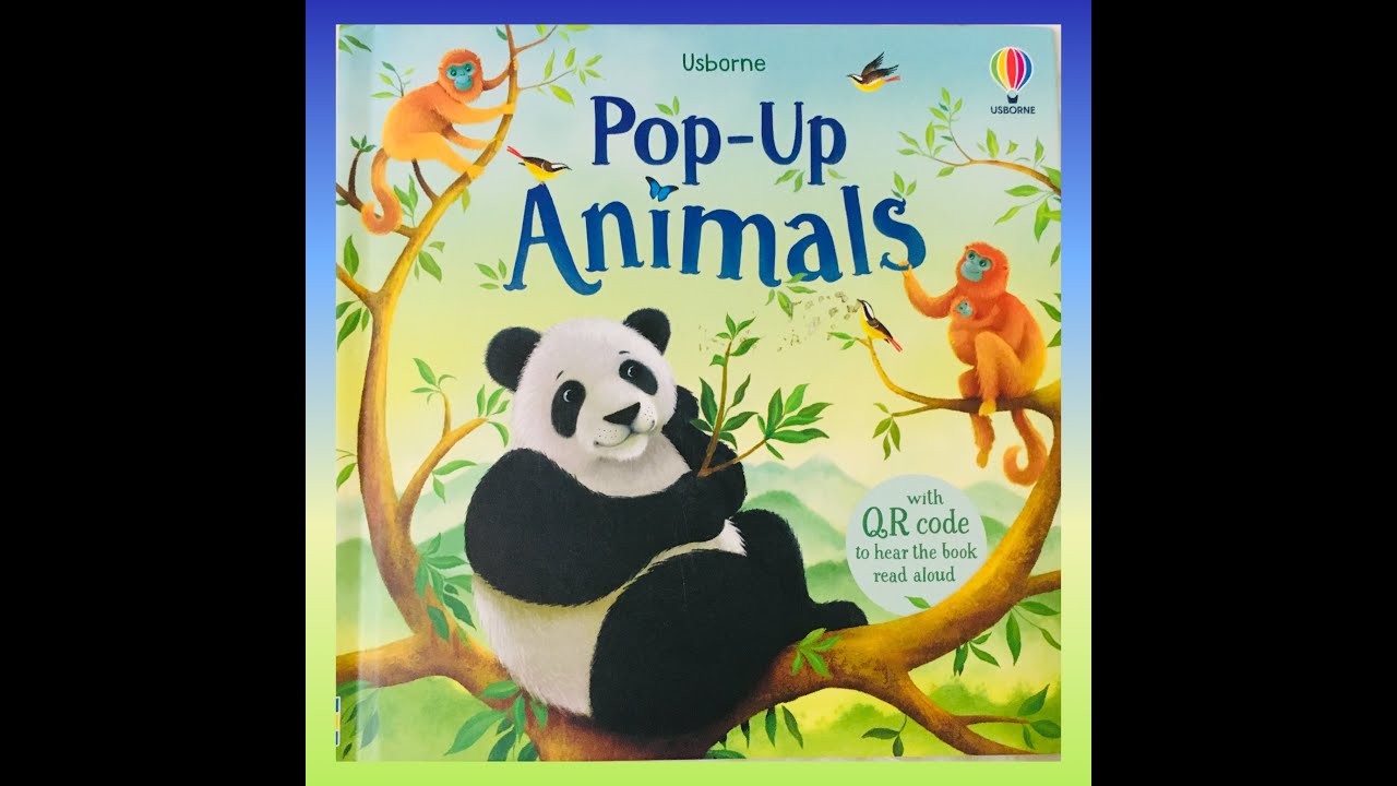 Animal Pop-up Book || Usborne Book || - YouTube