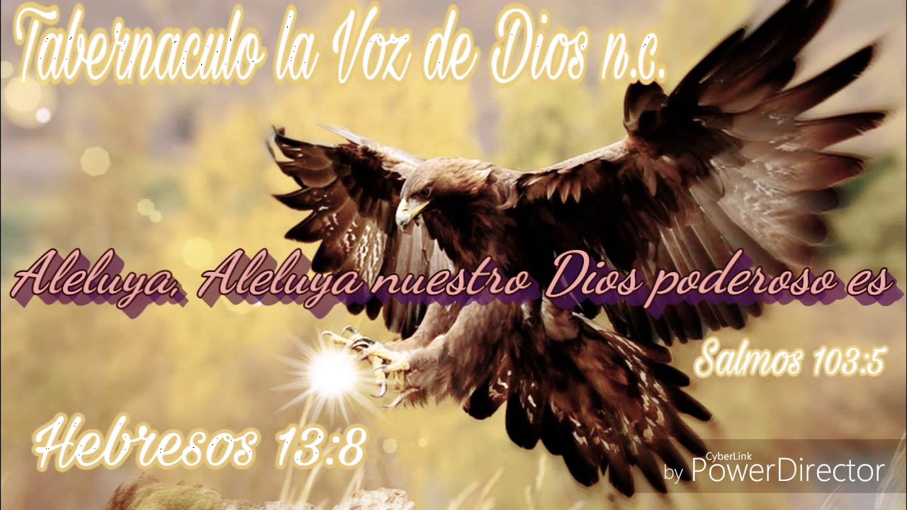 Aleluya, Aleluya nuestro Dios poderoso (TLVDD N.C.) - YouTube
