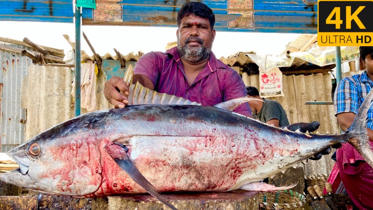 Kerai fish cutting video/ - YouTube