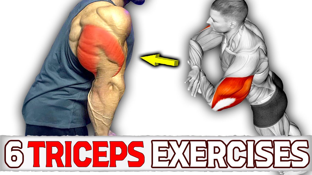 6 Special Exercises for a Triceps - YouTube