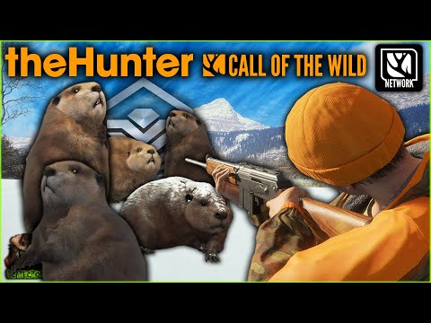 I Hunted EVERY Beaver To Get A Diamond On Askiy Ridge! Call of the wild EARLY ACCESS