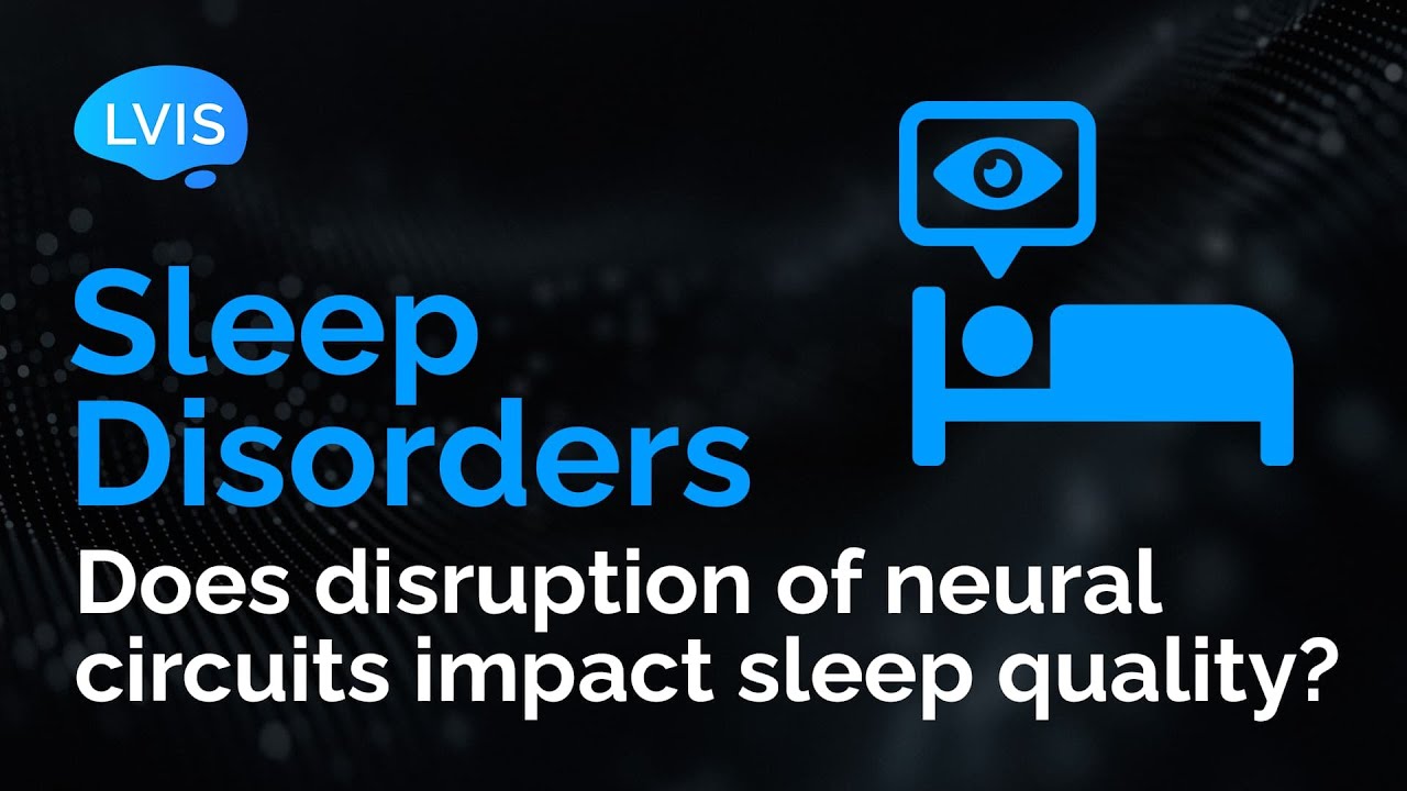 Brain Story: Sleep disorders are caused by disruptions in brain ...
