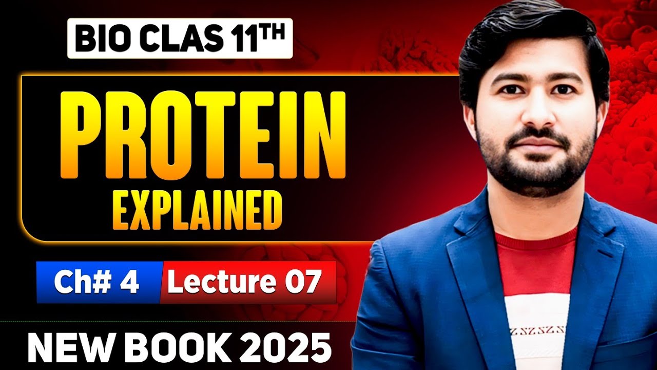 Protein Explained | Types of Amino Acids | Class 11 biology | New Book ...
