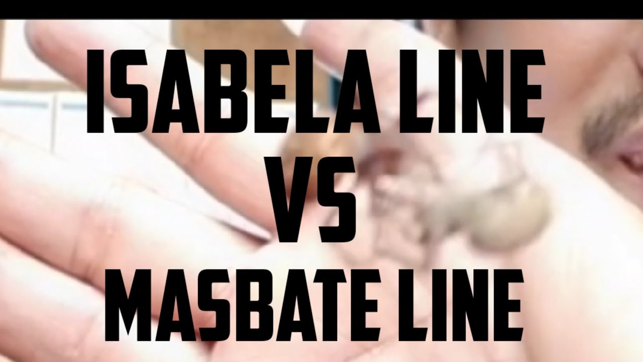 Isabela lines napalaban si ying lulusot kaya??? " Masbate line vs ...