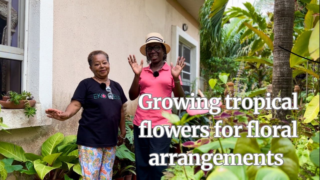 From garden to vase: Growing tropical flowers for stunning floral ...