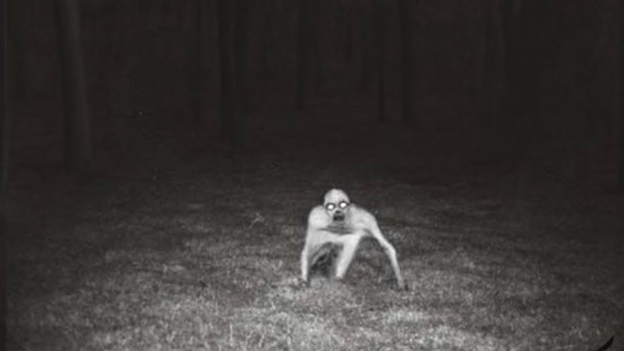 I THINK THE RAKE LIVES IN THESE WOODS.... - YouTube