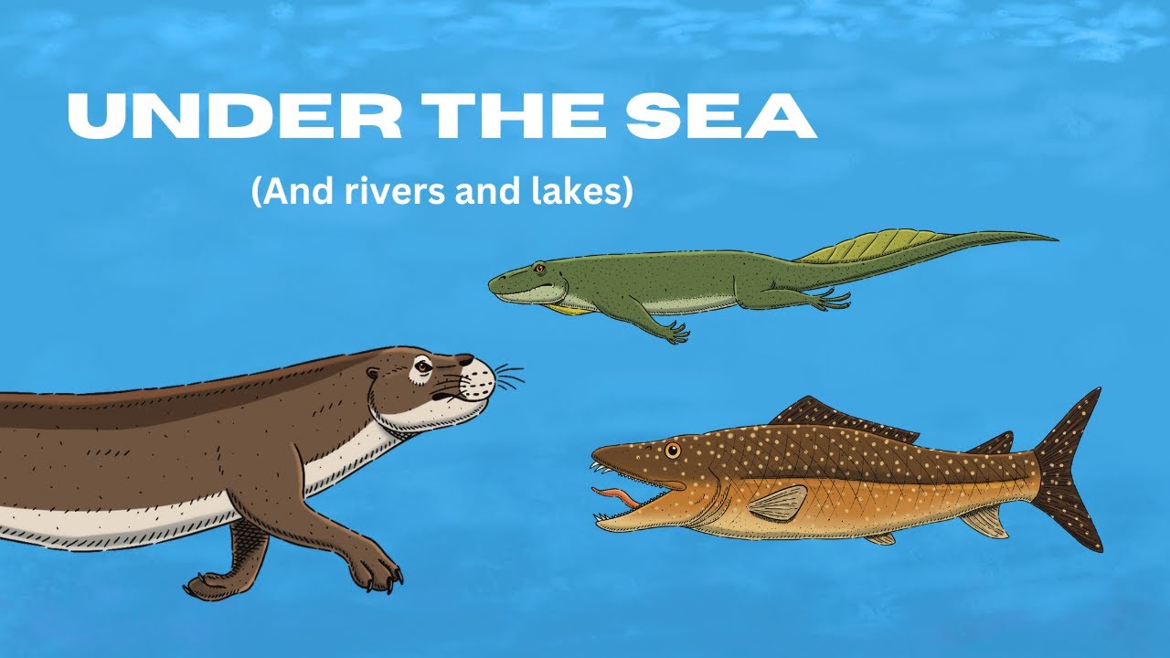 LIFE UNDERWATER - Project Mustelon Ep. 4 (Speculative Evolution Seed ...