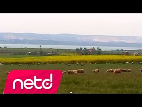 Grup Aslar - Yaylanın Çimenine