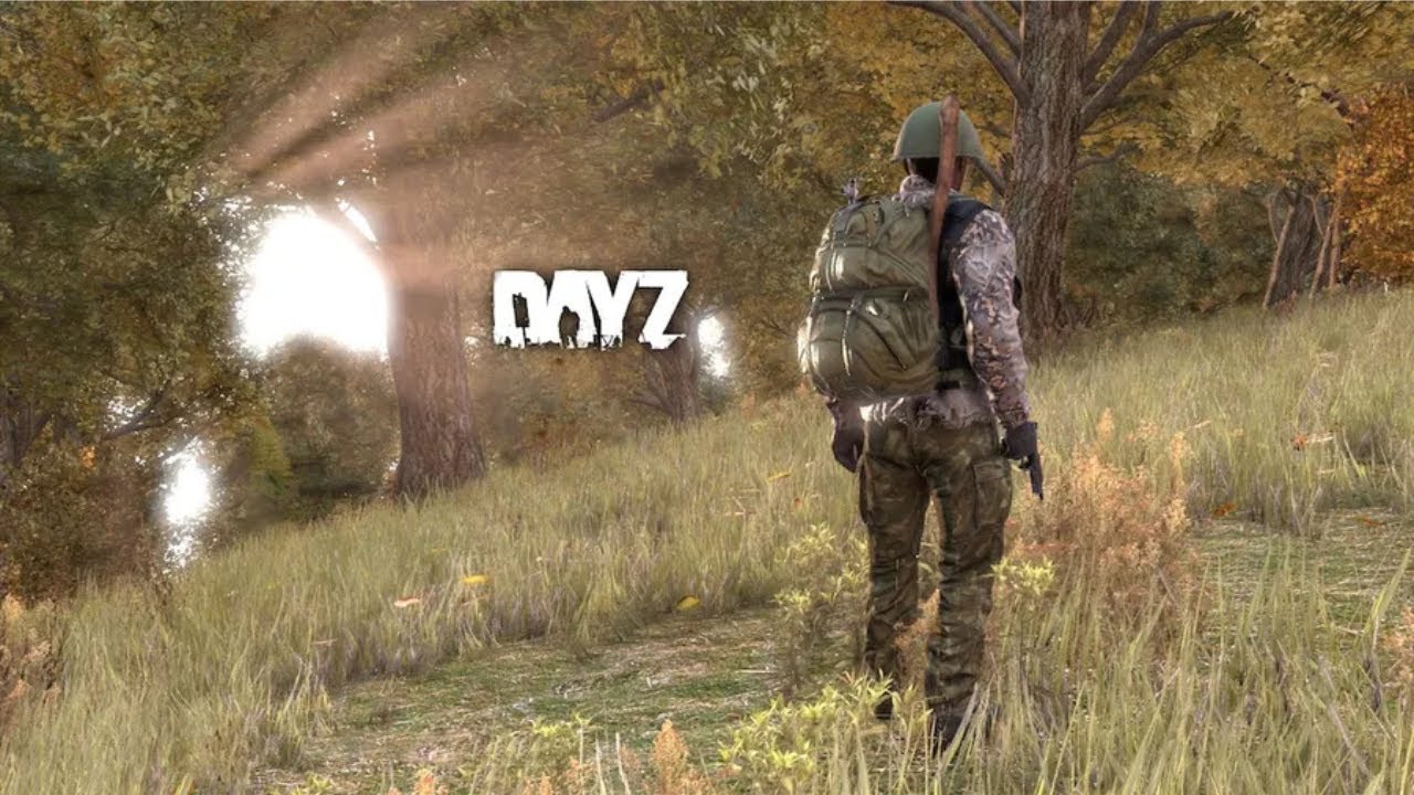 How a Duo With LOW Hours Plays Dayz! - YouTube