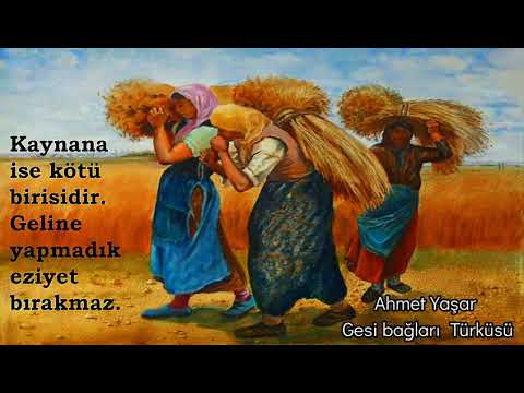 Ahmet Yaşar Gesi Bağları hikayesi ve türküsü