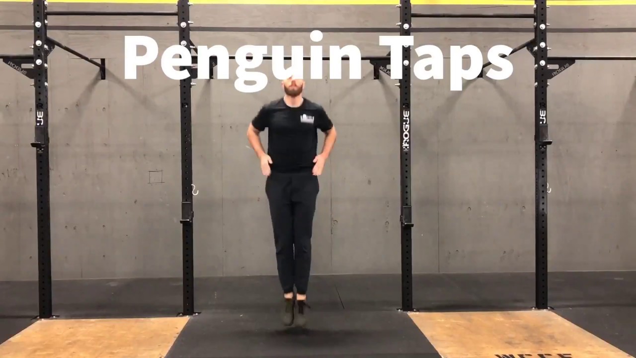 Penguin Taps - YouTube