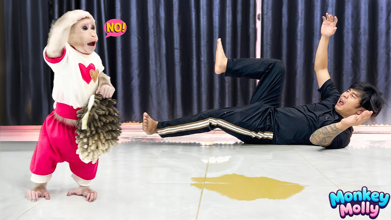 OMG! Monkey Molly accidentally caused mom's husband to have an ...
